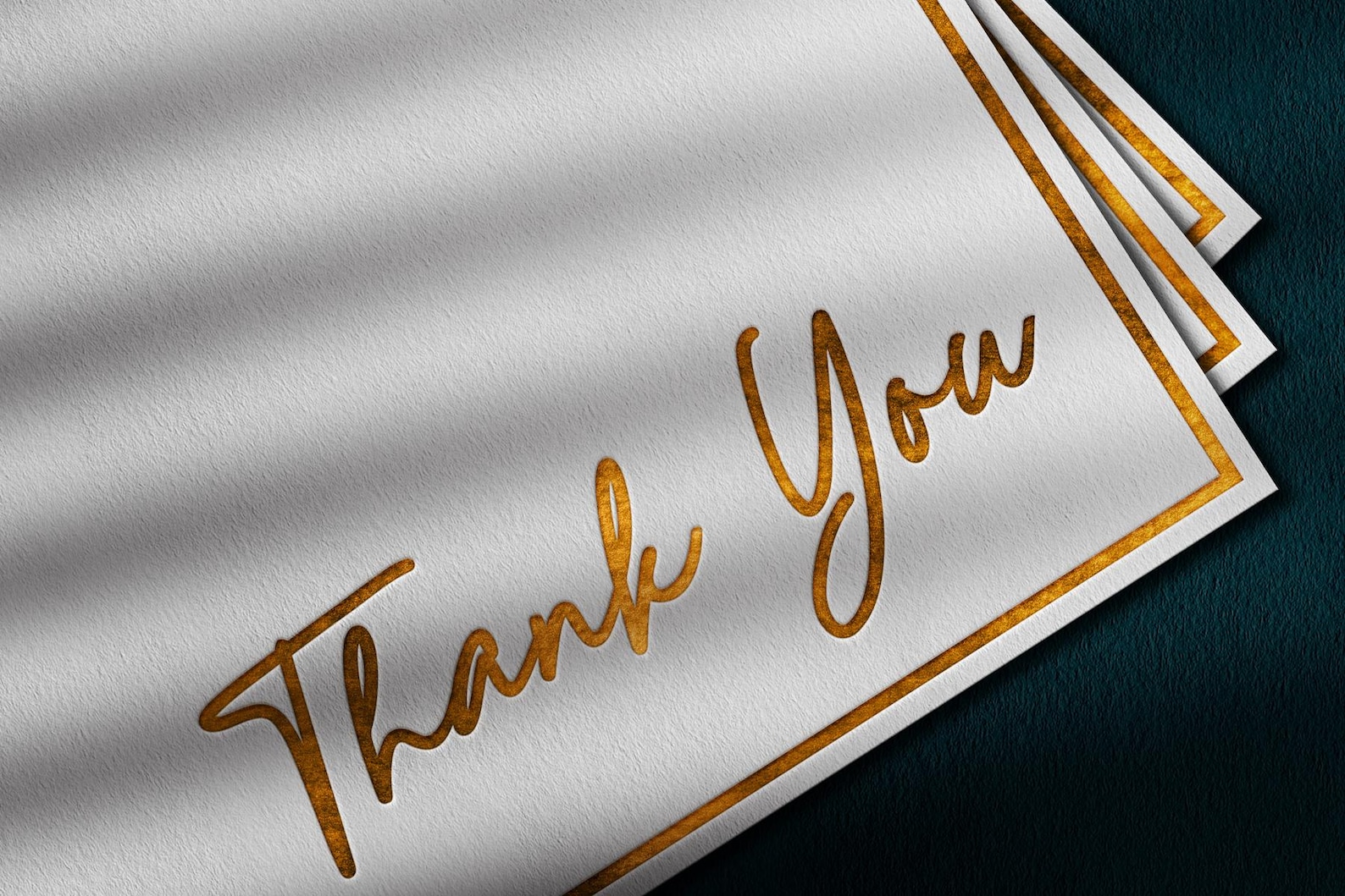 Sophie Font, Handwritten Font, Script Font, Cursive Font, Simple Font, Monoline Font, Single ...