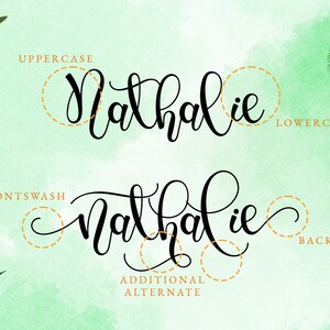 Glassy Anchor Font, Script Font, Handwritten Font, Swash Font, Tail Font, Font With Tail, Bouncy ...