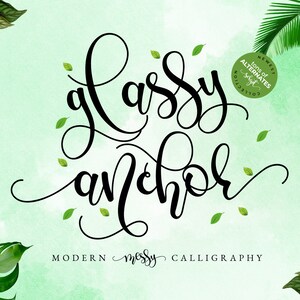 Glassy Anchor Font, Script Font, Handwritten Font, Swash Font, Tail ...