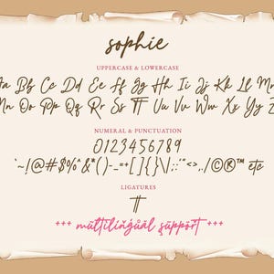 Sophie Font, Handwritten Font, Script Font, Cursive Font, Simple Font, Monoline Font, Single ...