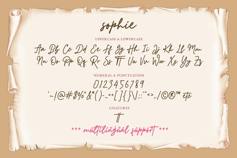 Sophie Font, Handwritten Font, Script Font, Cursive Font, Simple Font, Monoline Font, Single ...