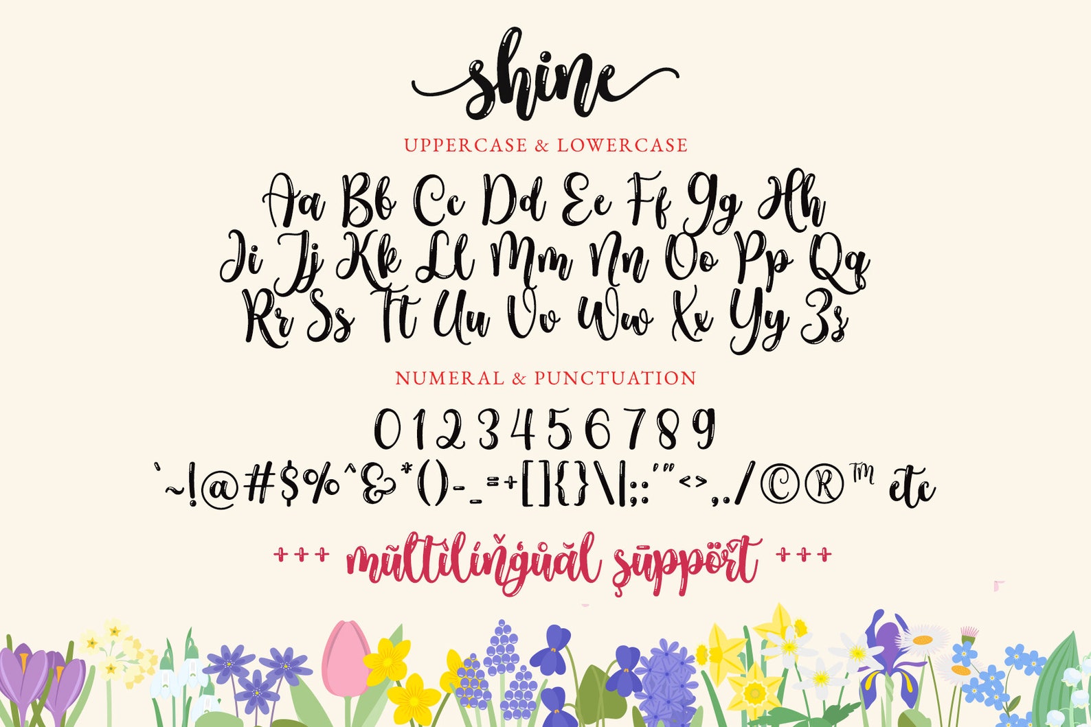 Shine Font, Handwritten Font, Script Font, Swash Font, Tail Font, Font ...