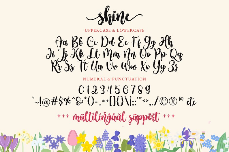 Shine Font, Handwritten Font, Script Font, Swash Font, Tail Font, Font With Tail, Swoosh Font ...
