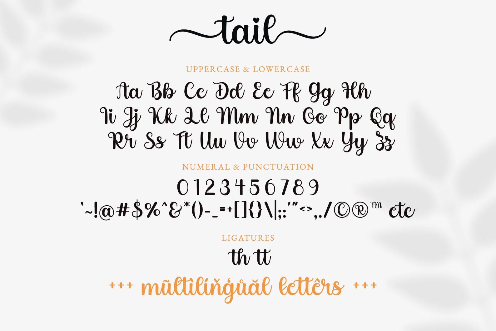 Tail Font, Script Font, Swash Font, Calligraphy Font, Handwritten Font ...