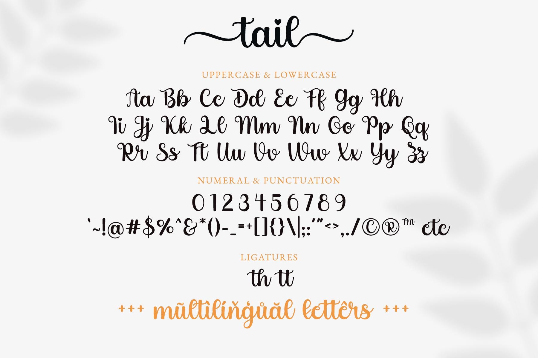 Tail Font, Script Font, Swash Font, Calligraphy Font, Handwritten Font ...