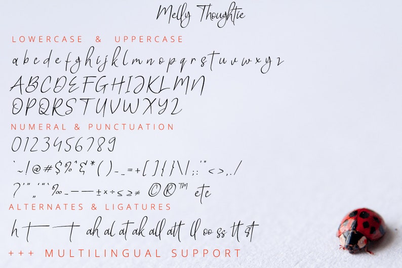 Melly Thoughtie Font, Handwritten Font, Script Font, Cricut Font ...