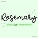 Rosemary Font, Signature Font, Handwritten Font, Script Font, Single ...