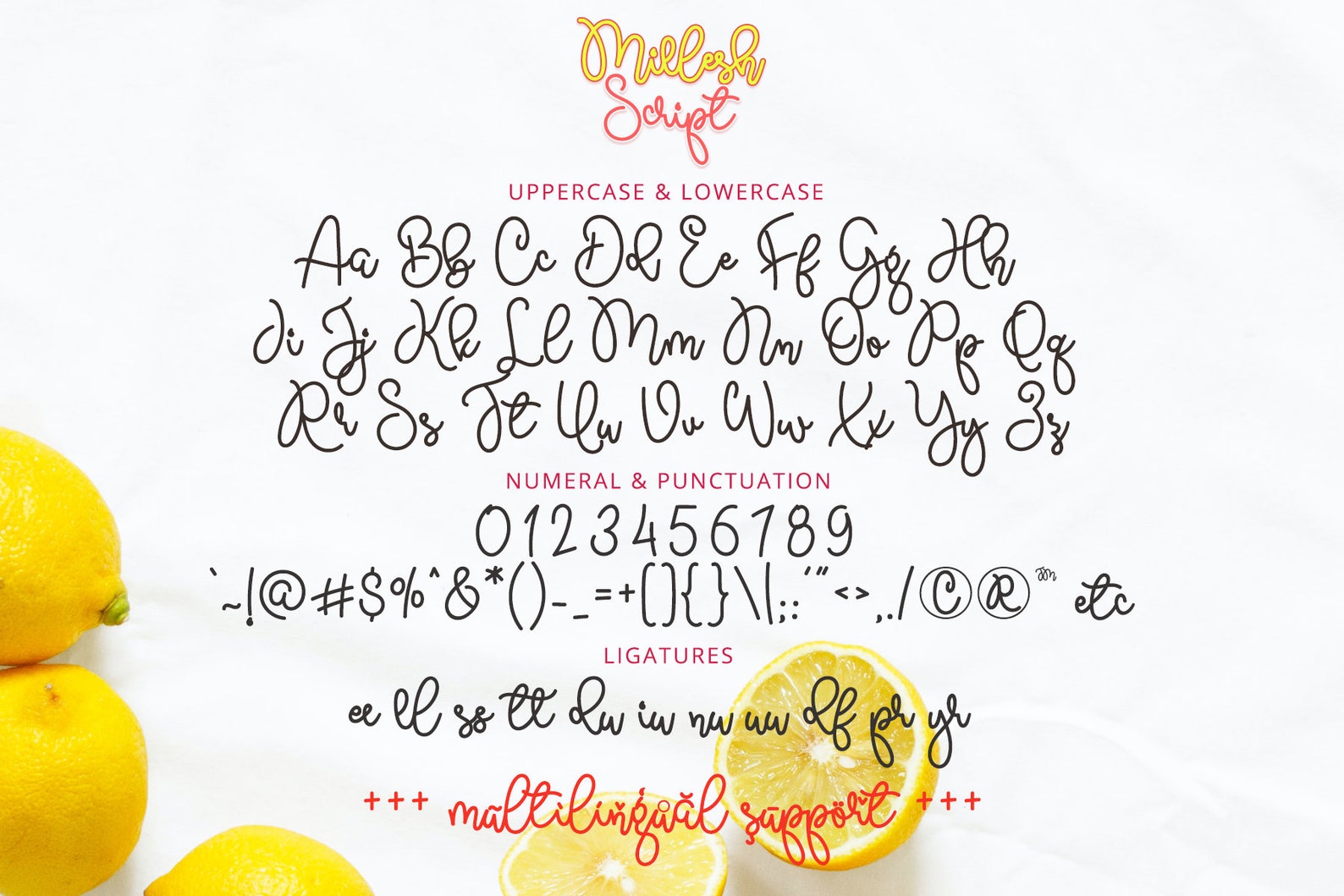 Millesh Script Font, Signature Font, Handwritten Font, Script Font, Bouncy Font, Cursive Font ...