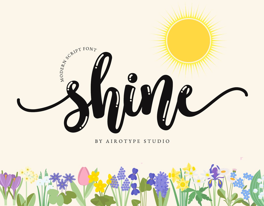 Shine Font, Handwritten Font, Script Font, Swash Font, Tail Font, Font ...
