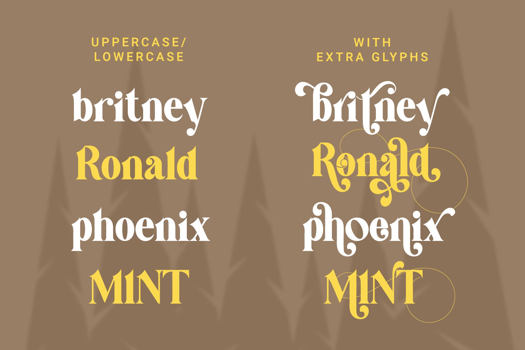 Vanilla Right Font, Serif Font, Retro Font, Vintage Font, Modern Font ...