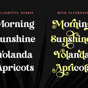 Delightful Napkin Font, Serif Font, Retro Font, Vintage Font, Modern ...