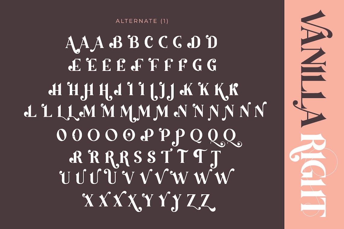 Vanilla Right Font Serif Font Retro Font Vintage Font - Etsy