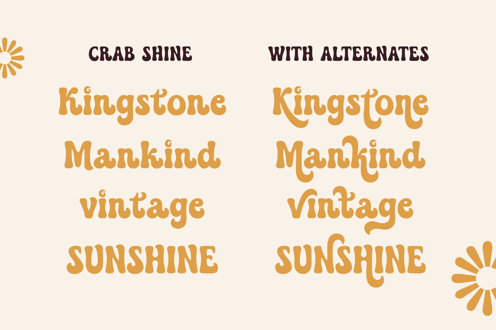 Crab Shine Font, Retro Font, Vintage Font, Groovy Font, Cute Font, Fun ...