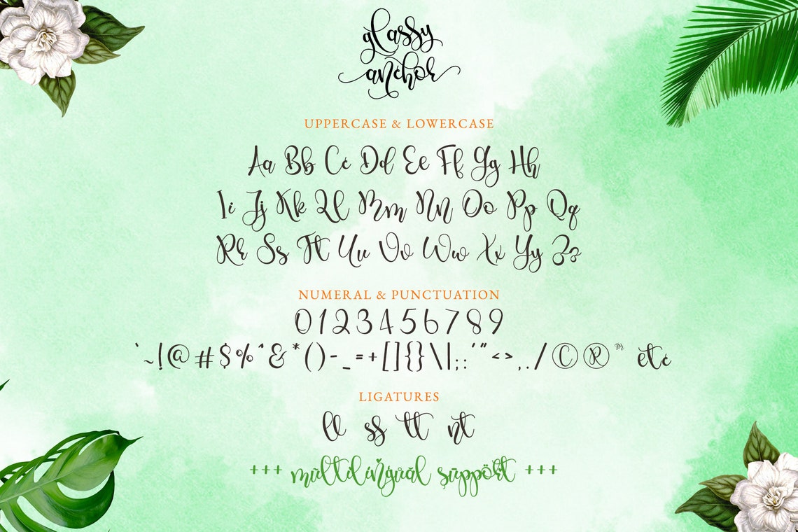 Glassy Anchor Font, Script Font, Handwritten Font, Swash Font, Tail Font, Font With Tail, Bouncy ...