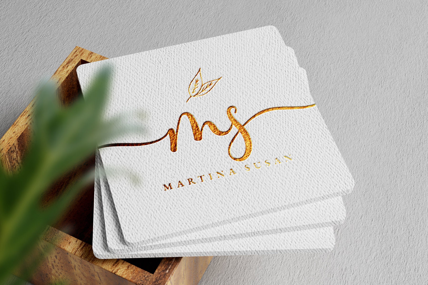 Shipwest Font, Script Font, Handwritten Font, Tail Font, Swash Font, Thin Font, Cursive Font ...