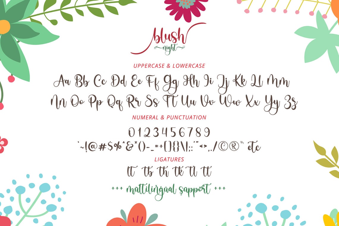 Blush Night Font, Calligraphy Font, Swash Font, Font With Tail, Swoosh ...