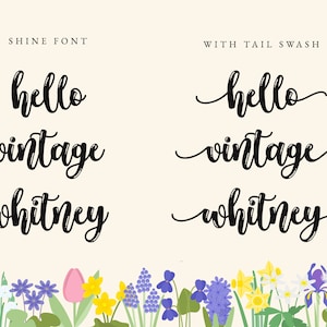 Shine Font, Handwritten Font, Script Font, Swash Font, Tail Font, Font With Tail, Swoosh Font ...