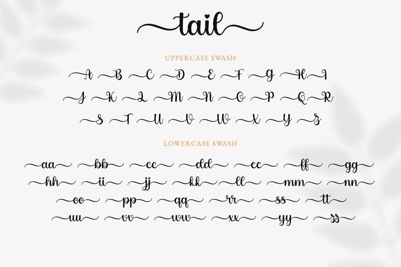Tail Font, Script Font, Swash Font, Calligraphy Font, Handwritten Font ...