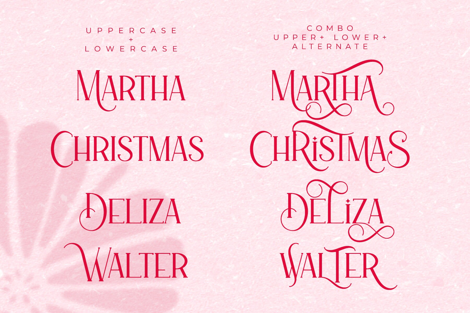 Bavire Font, Serif Font, Display Font, Modern Font, Vintage Font ...