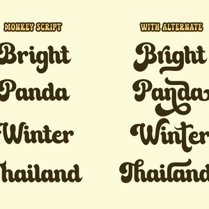 Monkey Script Font, Retro Font, Groovy Font, Vintage Font, Handwritten Font, Boho Font, Hippie ...