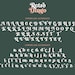 Retro Dingo Font, Serif Font, Retro Font, Vintage Font, Bold Modern ...
