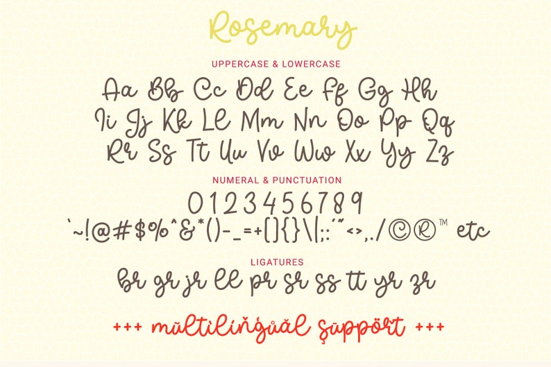 Rosemary Font, Signature Font, Handwritten Font, Script Font, Single ...