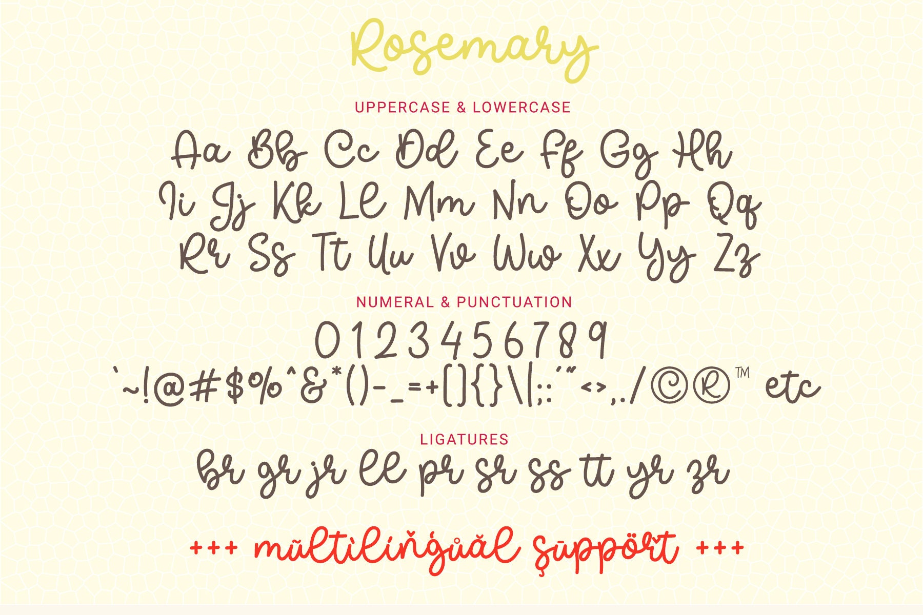 Rosemary Font, Signature Font, Handwritten Font, Script Font, Single ...