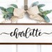 Bangstyle Font, Handwritten Font, Script Font, Font With Tail, Tail Font, Swash Font, Cursive ...