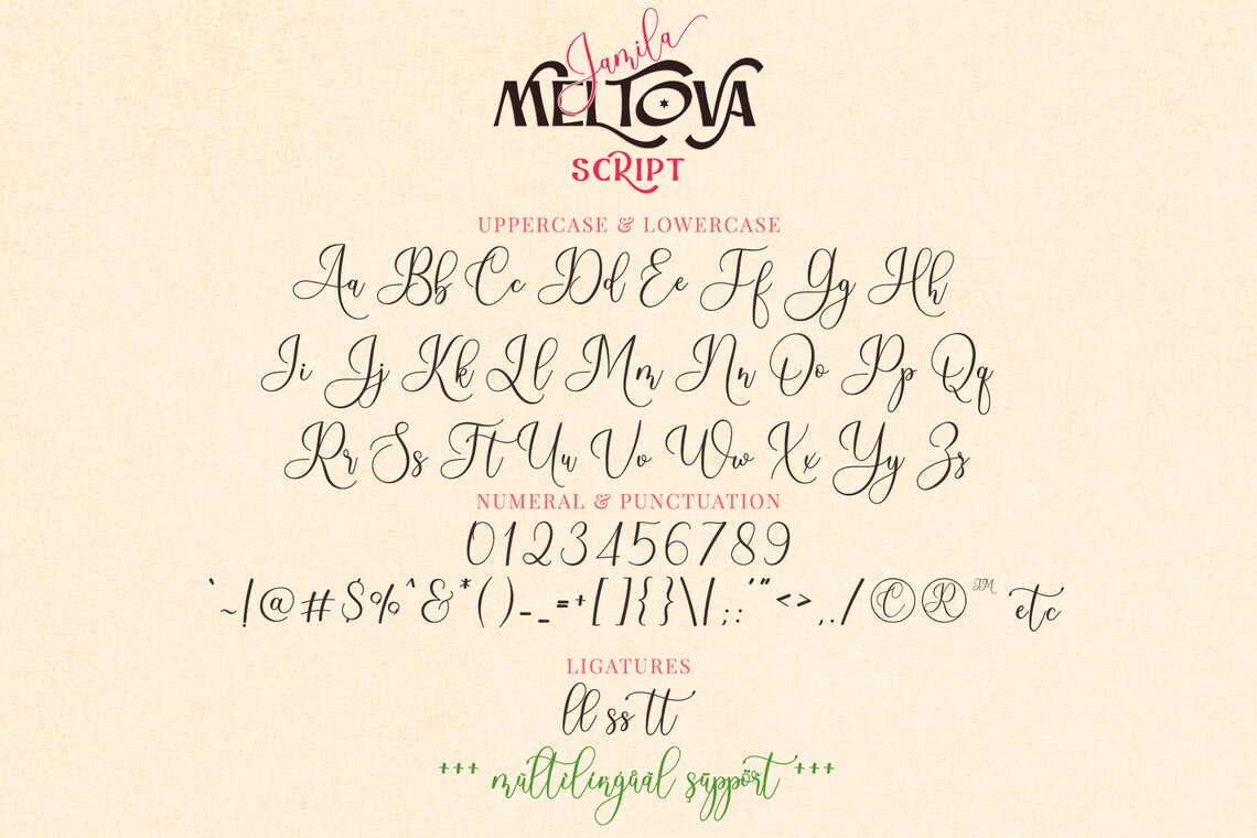 Jamila Meltova Font, Script Font, Tail Font, Handwritten Font, Cursive Font, Swash Font, Bouncy ...