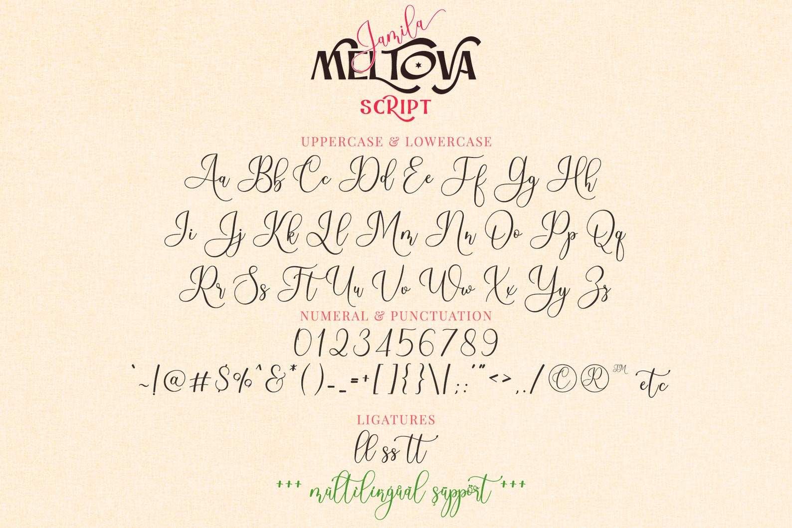 Jamila Meltova Font, Script Font, Tail Font, Handwritten Font, Cursive ...