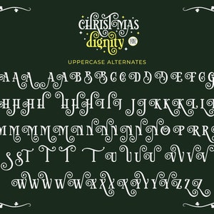 Christmas Dignity Font, Serif Font, Winter Font, Swirl Font, Swirl ...