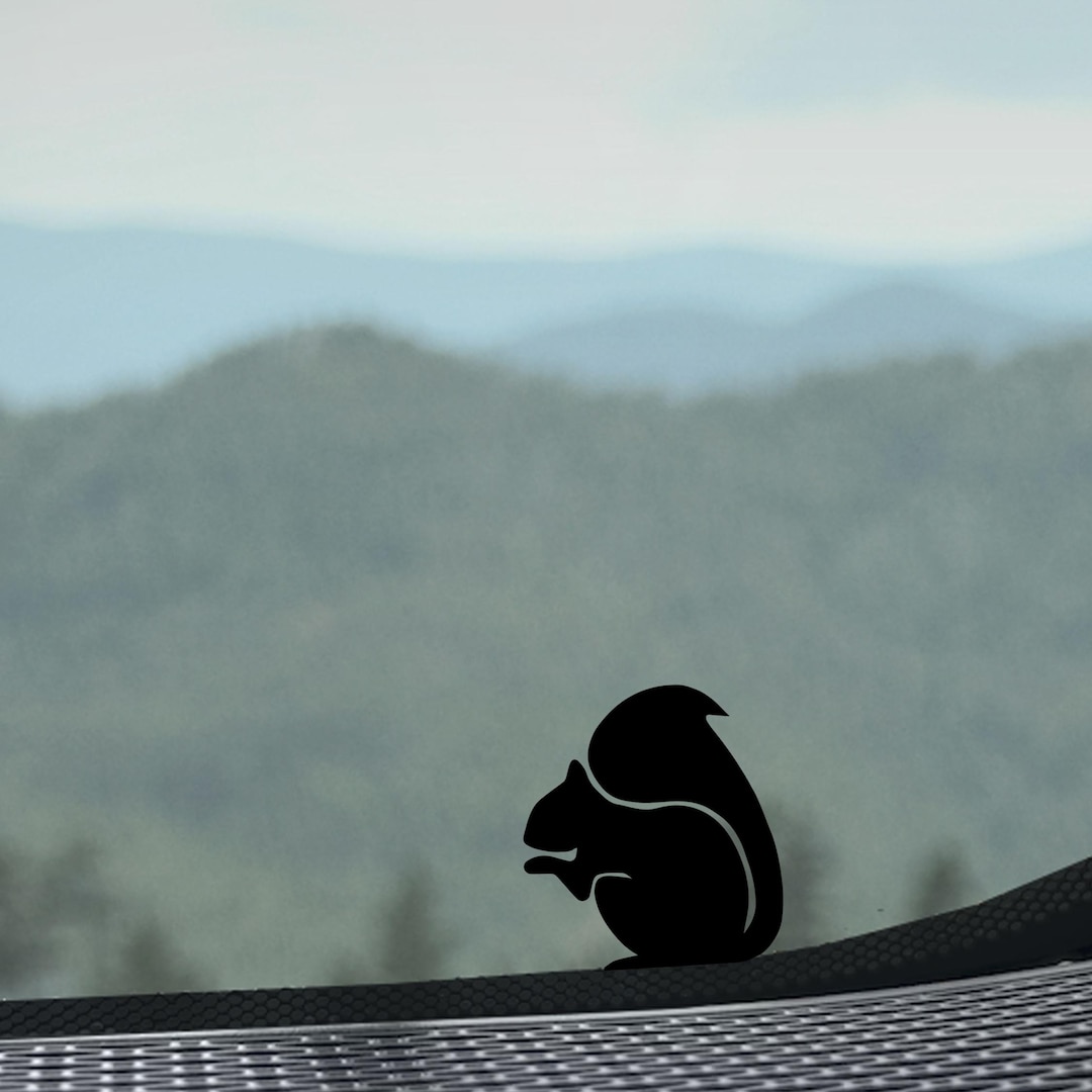 Squirrel Vinyl Sticker Decal for Your Car, Window, Water Bottle, Laptop ...