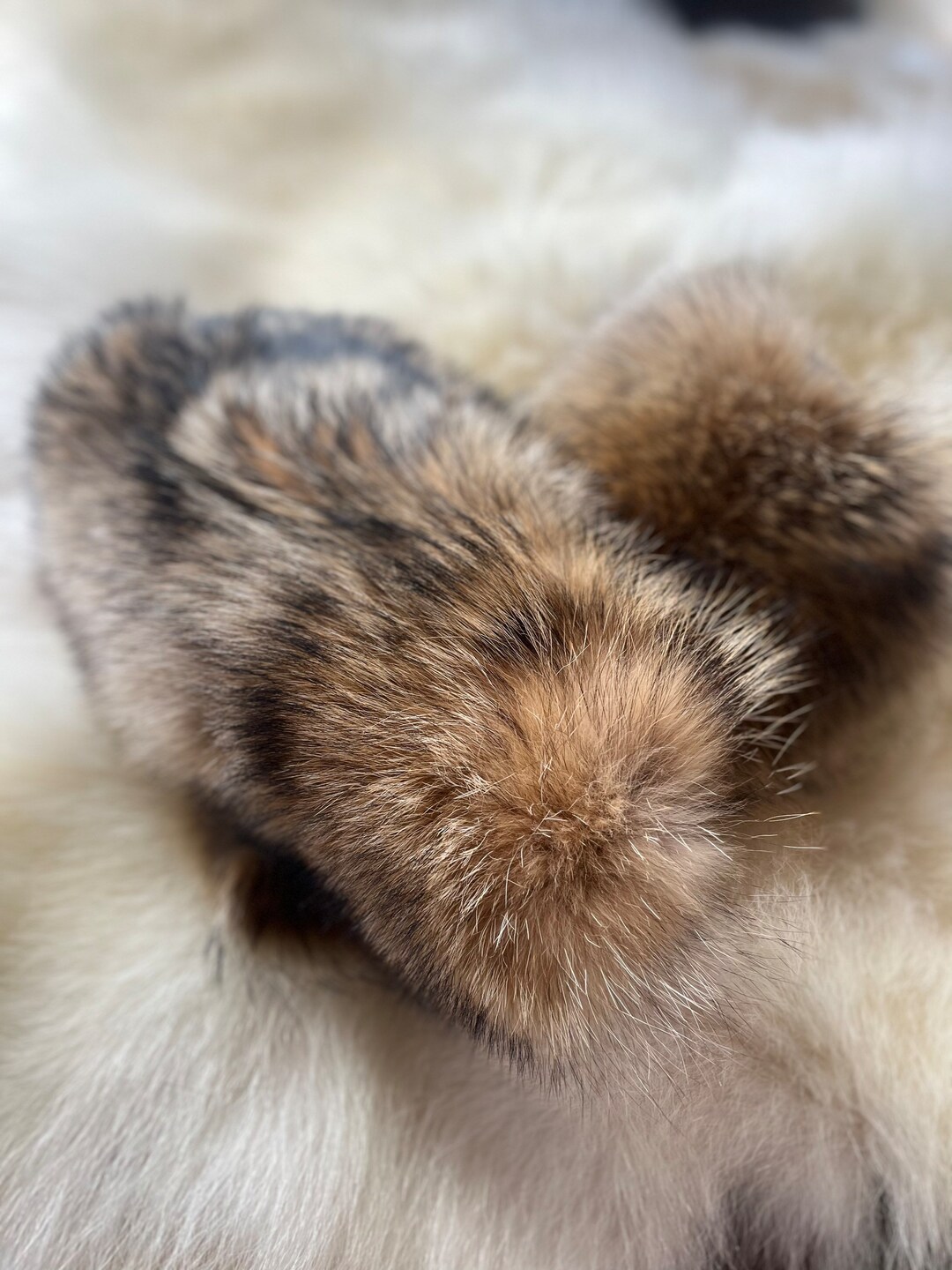 Coyote Fur Mittens, Black Buffalo Leather Palms and Sheared Sheep ...