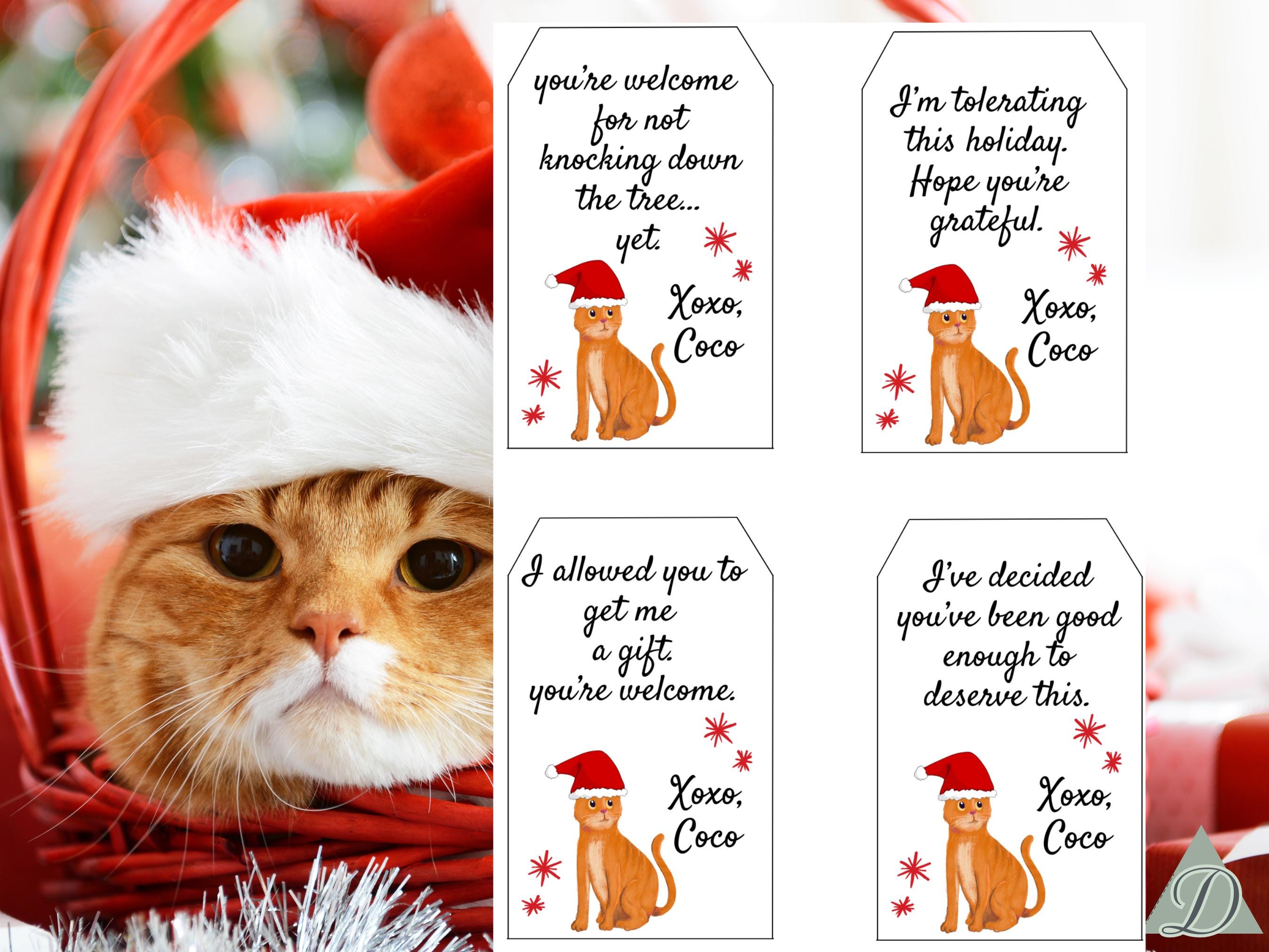 Funny Editable Cat Christmas Gift Tags, Christmas Present Tags From Cat ...