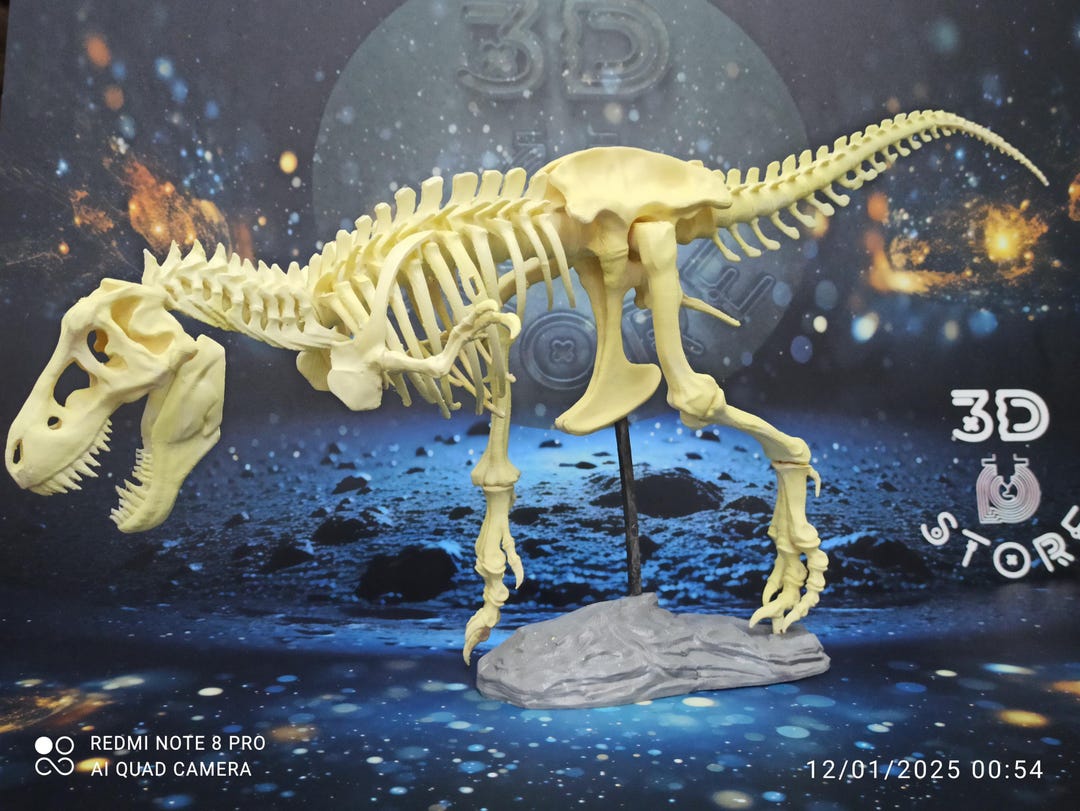 T-REX DINOSAUR 3D PRINT - Etsy