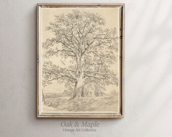 Vintage Tree Print | Etsy