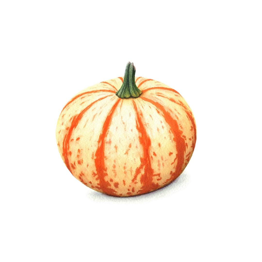 Stripey Pumpkin - Fine Art Print - Etsy