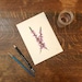 Scottish Ling Heather - Fine Art Print - Etsy