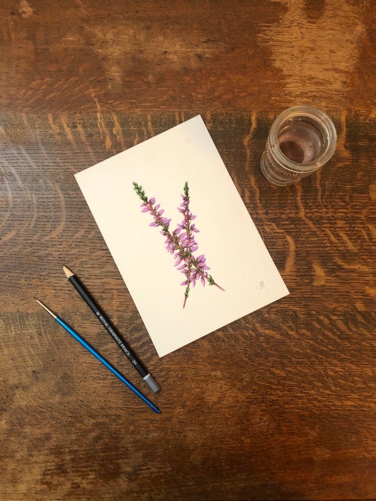 Scottish Ling Heather - Fine Art Print - Etsy