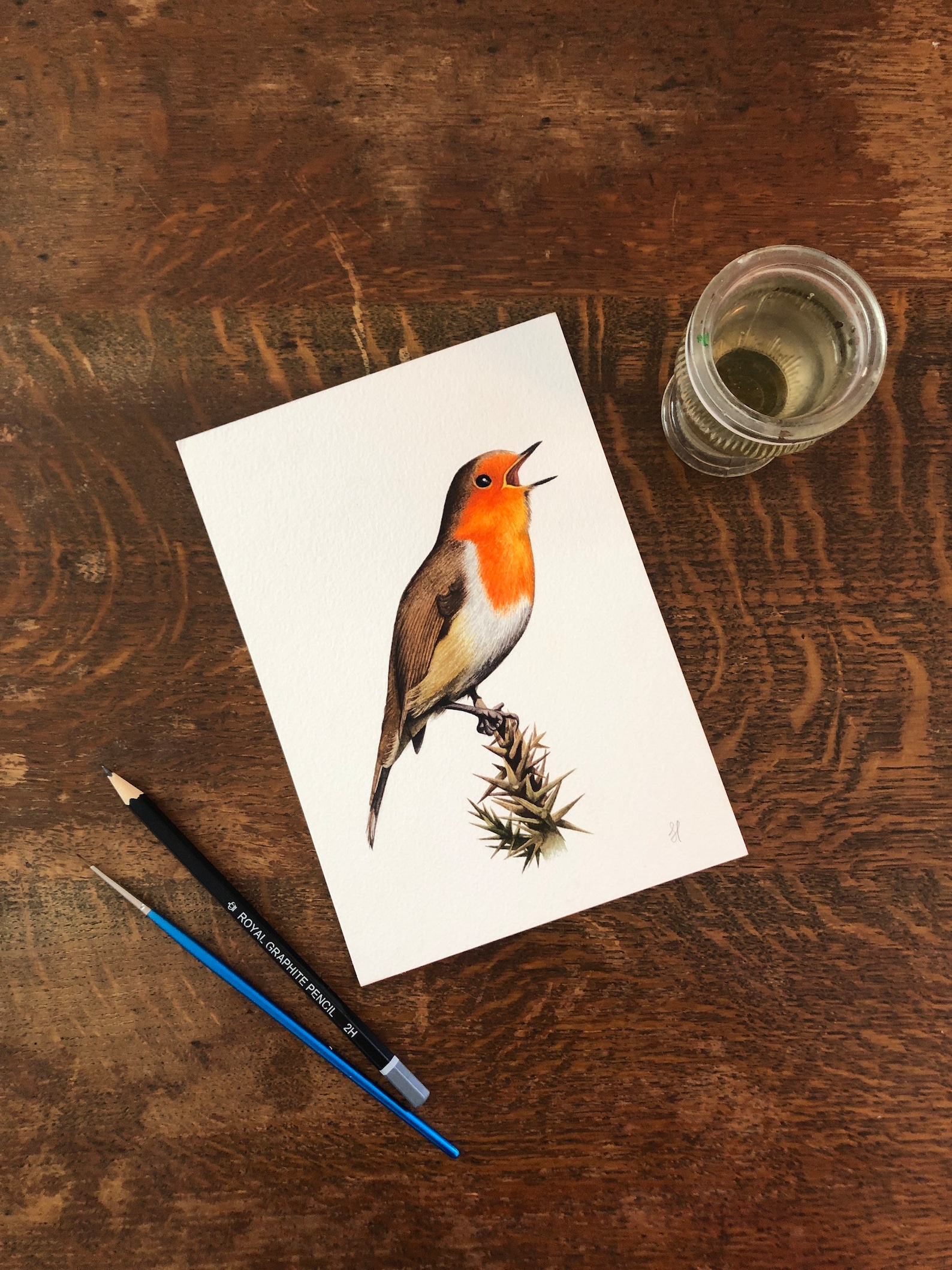 Robin Fine Art Print - Etsy