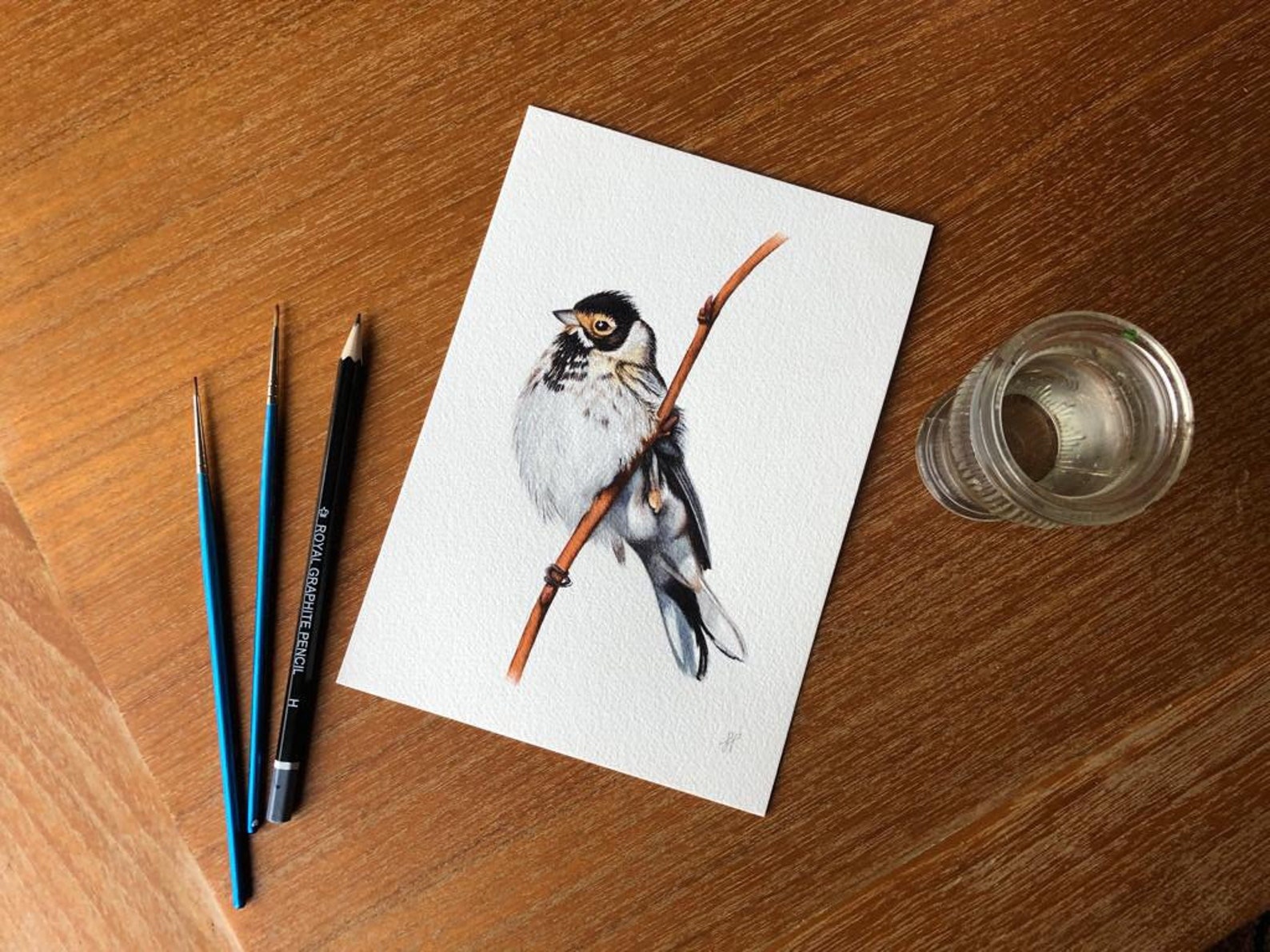 Reed Bunting - Fine Art Print - Etsy UK