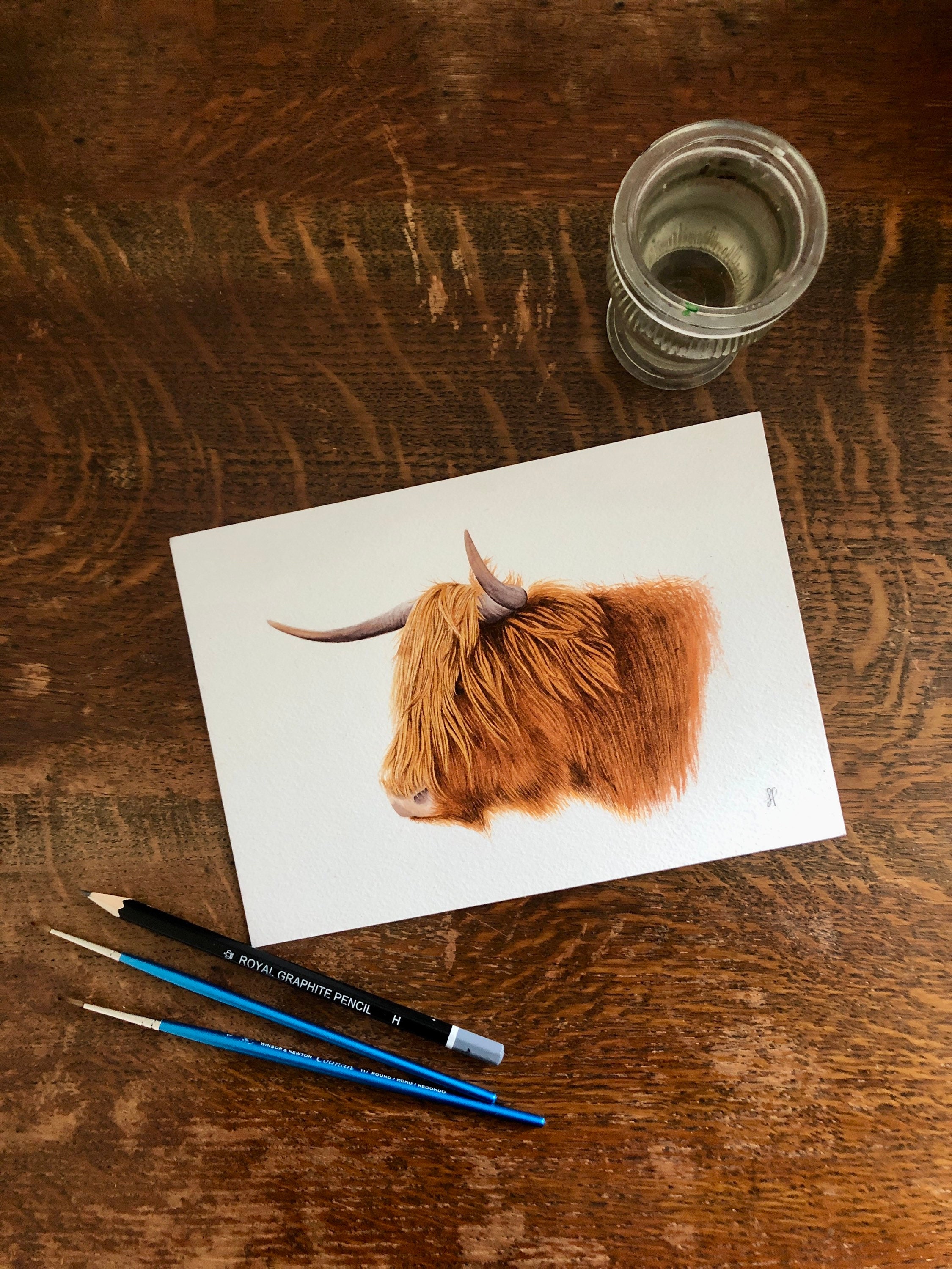 Highland Coo - Fine Art Print - Etsy UK