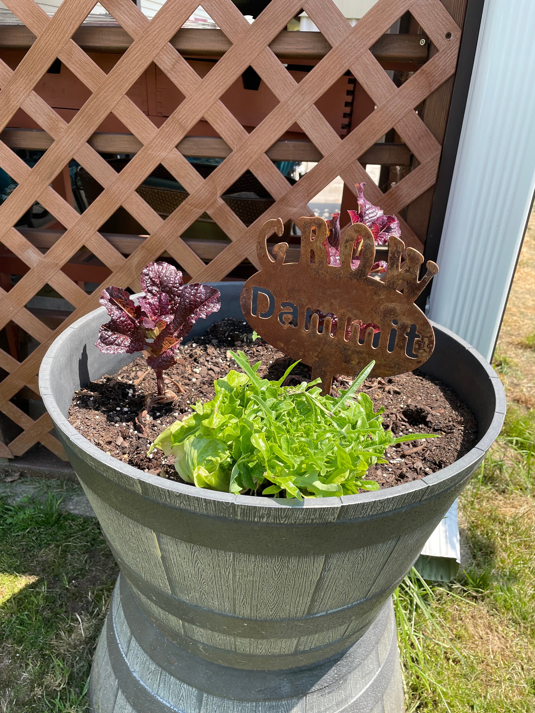 Grow Dammit Garden Sign-garden Stake-lawn Sign Funny Garden Sign-metal ...