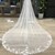 Elegant Large Flower Veil, 1 Tier Long Veil, Bridal Organza Flower ...