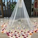 Colorful Wild Flower Wedding Veil, Super Fairy Colorful Lace Bridal ...