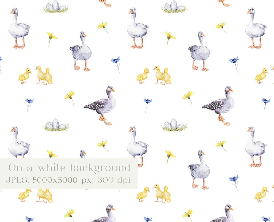 Goose Seamless Pattern Farm Animals Pattern Goslings Egg - Etsy