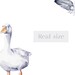 Goose Seamless Pattern Farm Geese Goslings Feather Feathers Surface ...