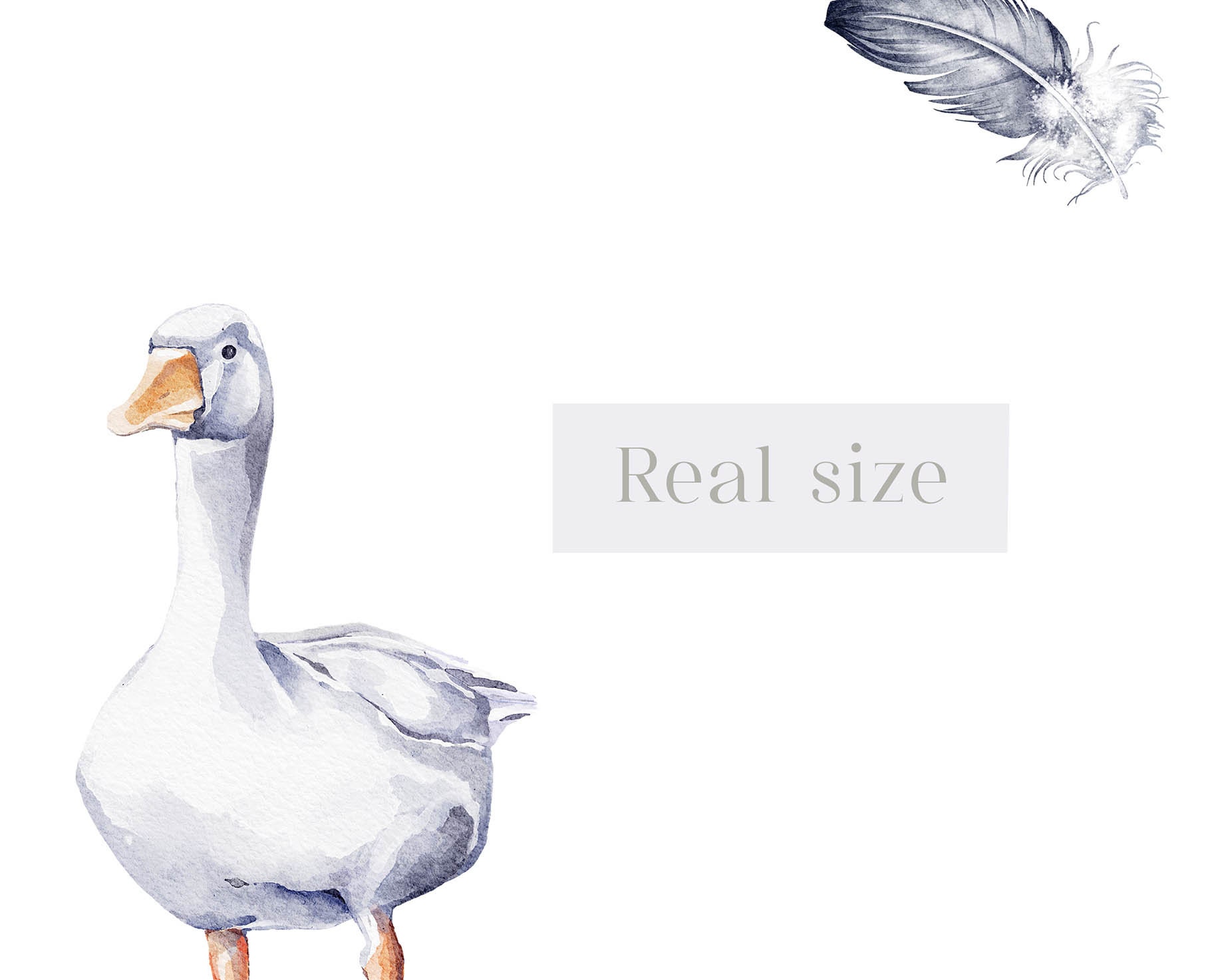 Goose Seamless Pattern Farm Geese Goslings Feather Feathers Surface ...