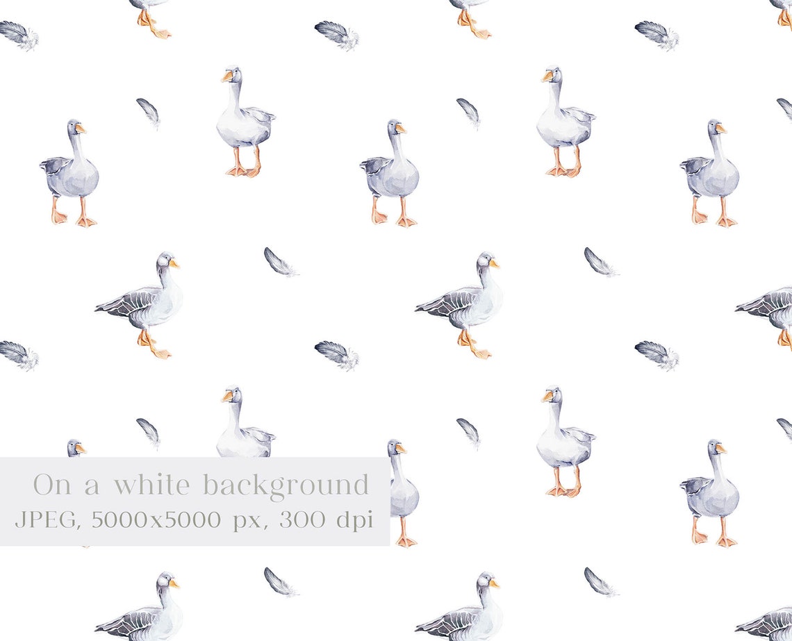 Goose Seamless Pattern Farm Geese Goslings Feather Feathers Surface ...