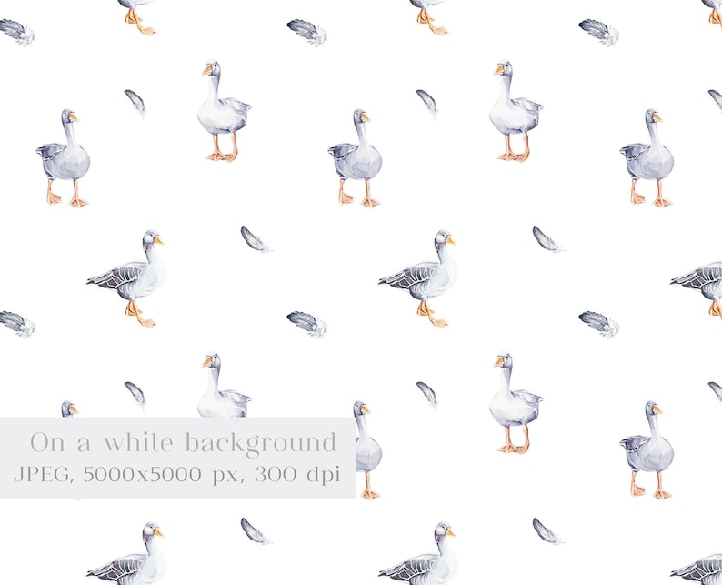 Goose Seamless Pattern Farm Geese Goslings Feather Feathers Surface ...
